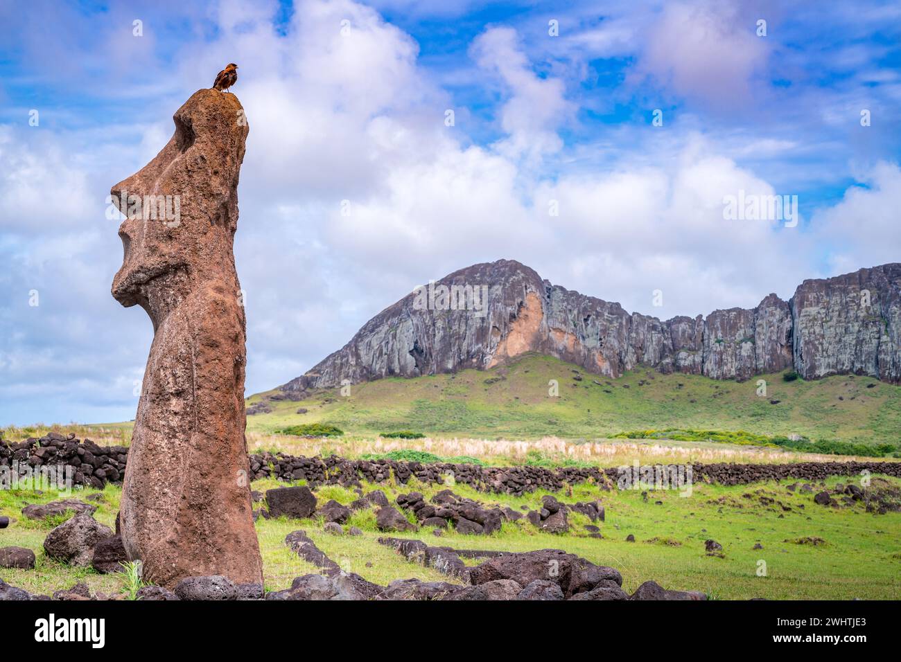 Moais in Tongariki, Rapa Nui, Easter Island Stock Photo - Alamy