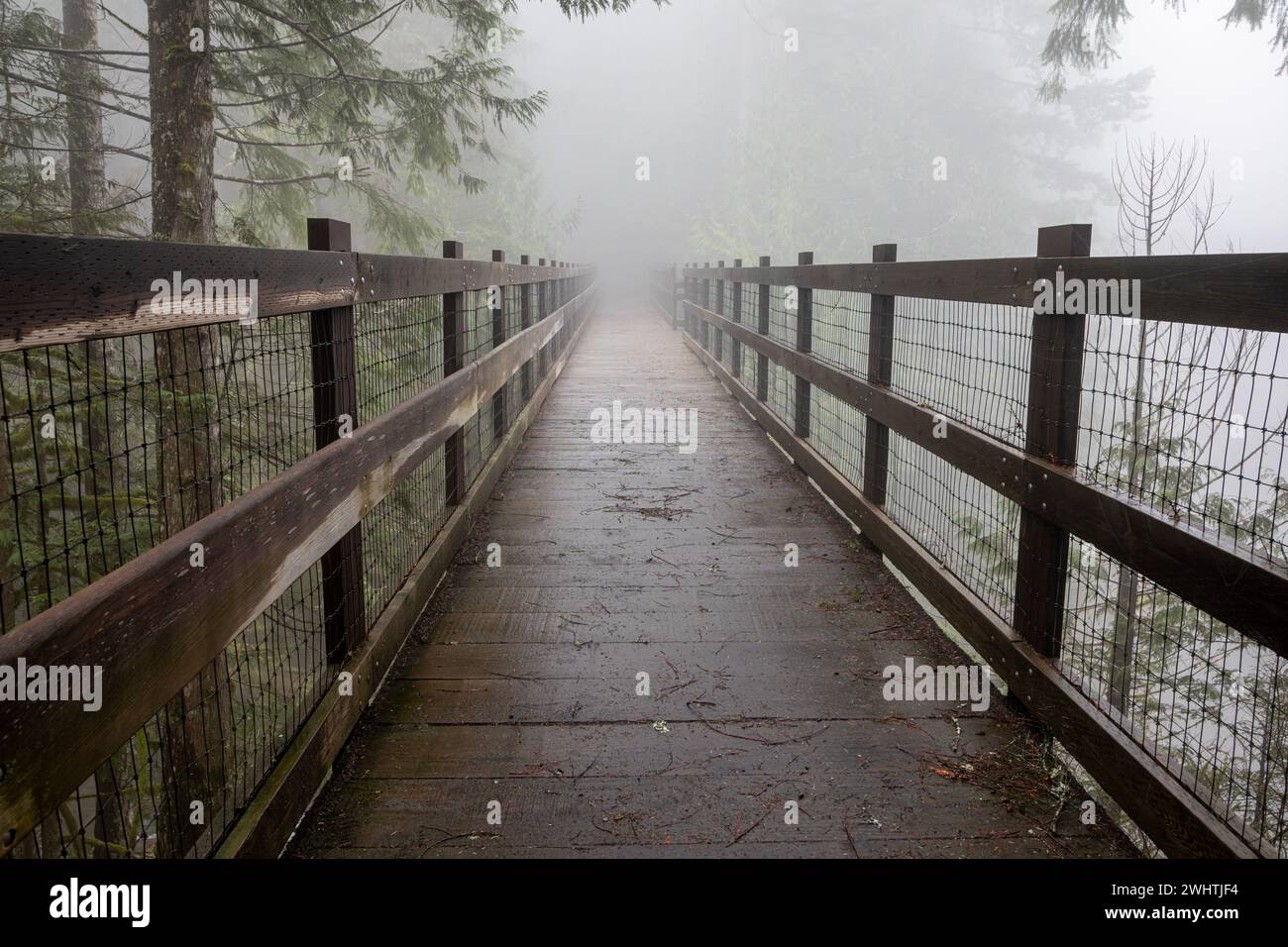 WA25064-00...WASHINGTON - Bridge over the top of Upper Wallace Falls in ...