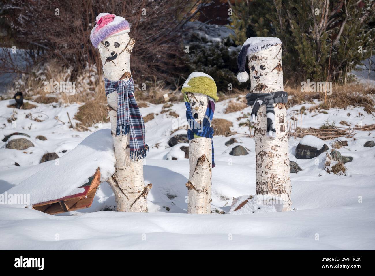 Tree trunk figurines, Joseph, Oregon Stock Photo - Alamy
