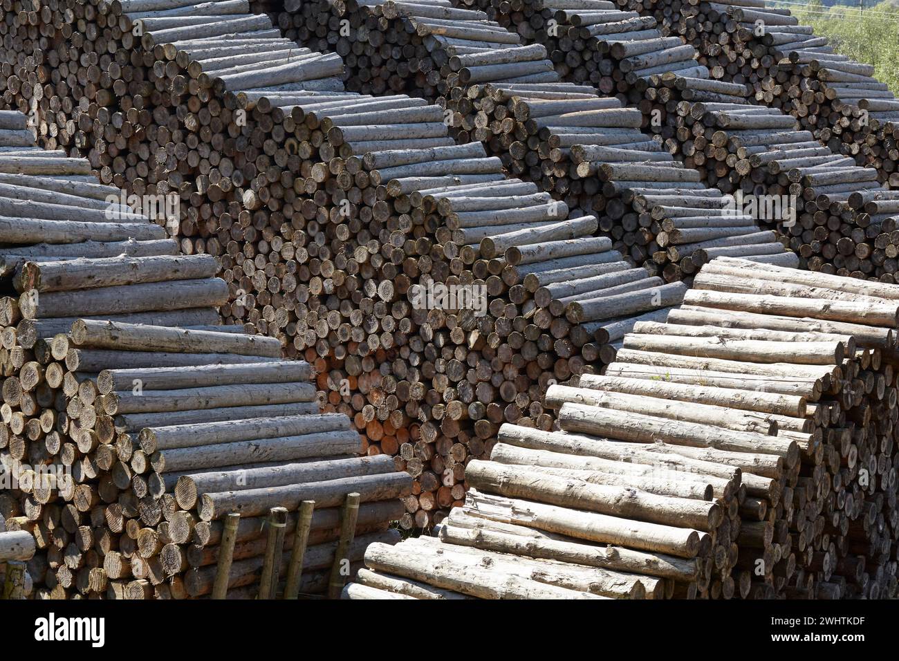 Forestry yard hi-res stock photography and images - Alamy