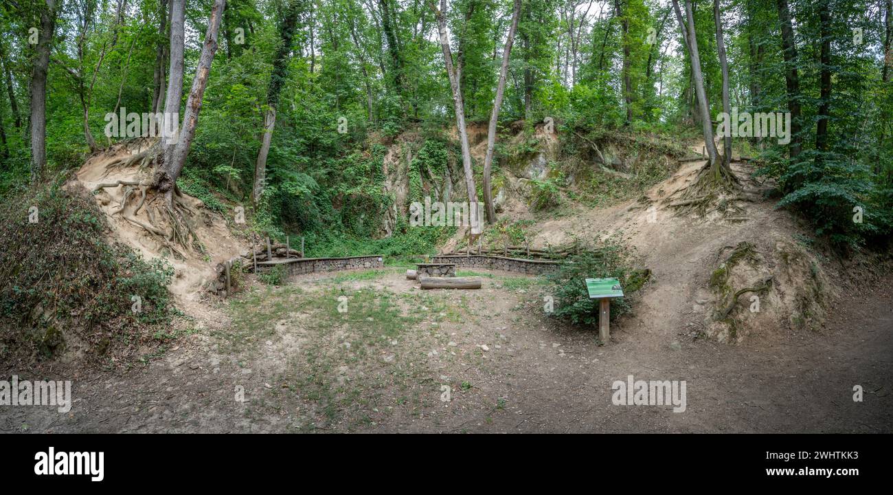 View of a green amphitheater in the forest Stock Photo - Alamy