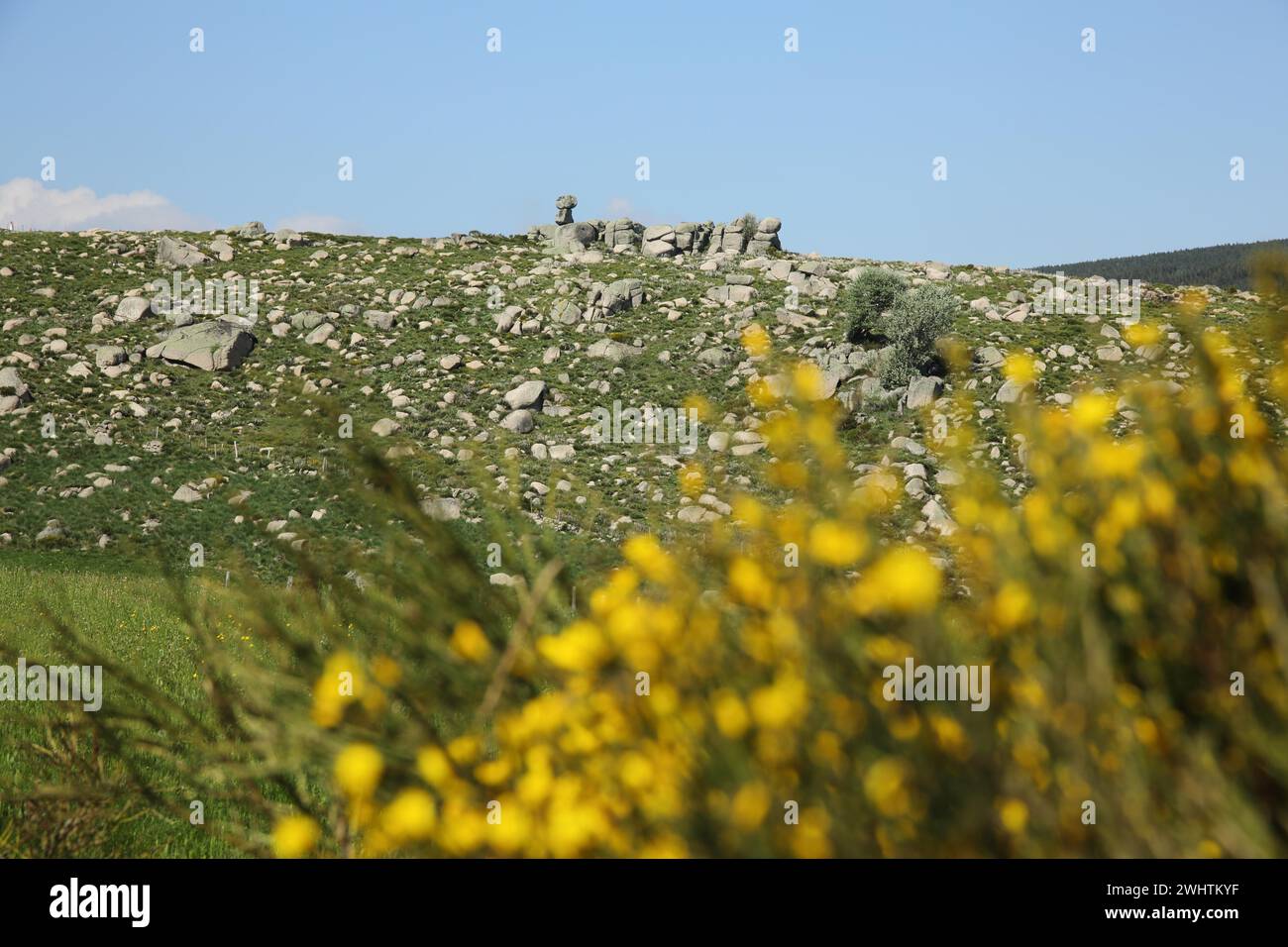 Stone landscape with rock formation and broom, landscape, mountains ...