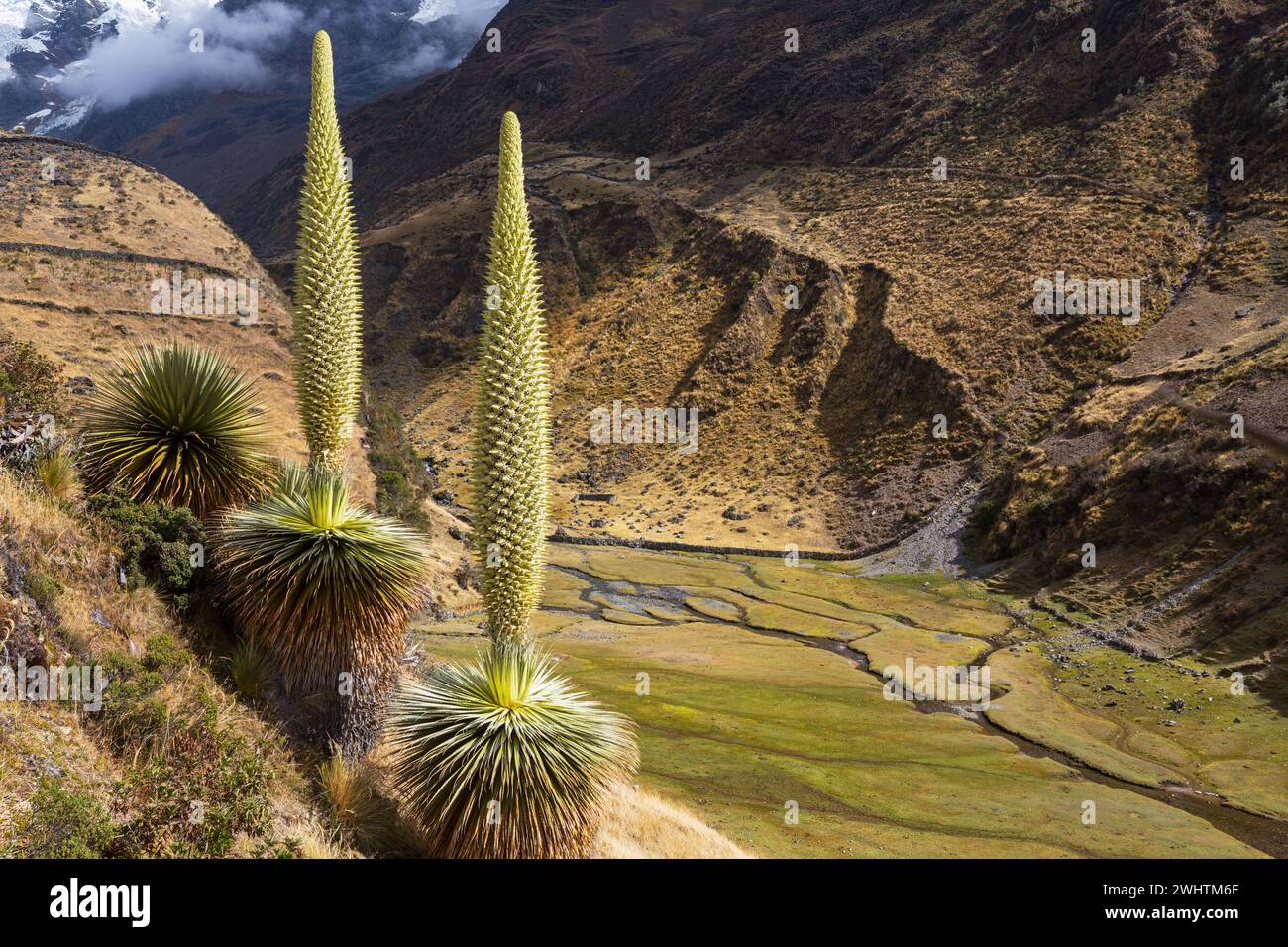 Hiking in the fantastic landscape of the Peruvian high mountain Andes ...