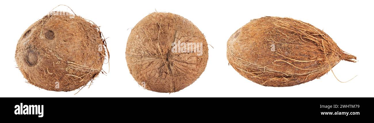 Coconut collection isolated on white background. Full depth of field ...