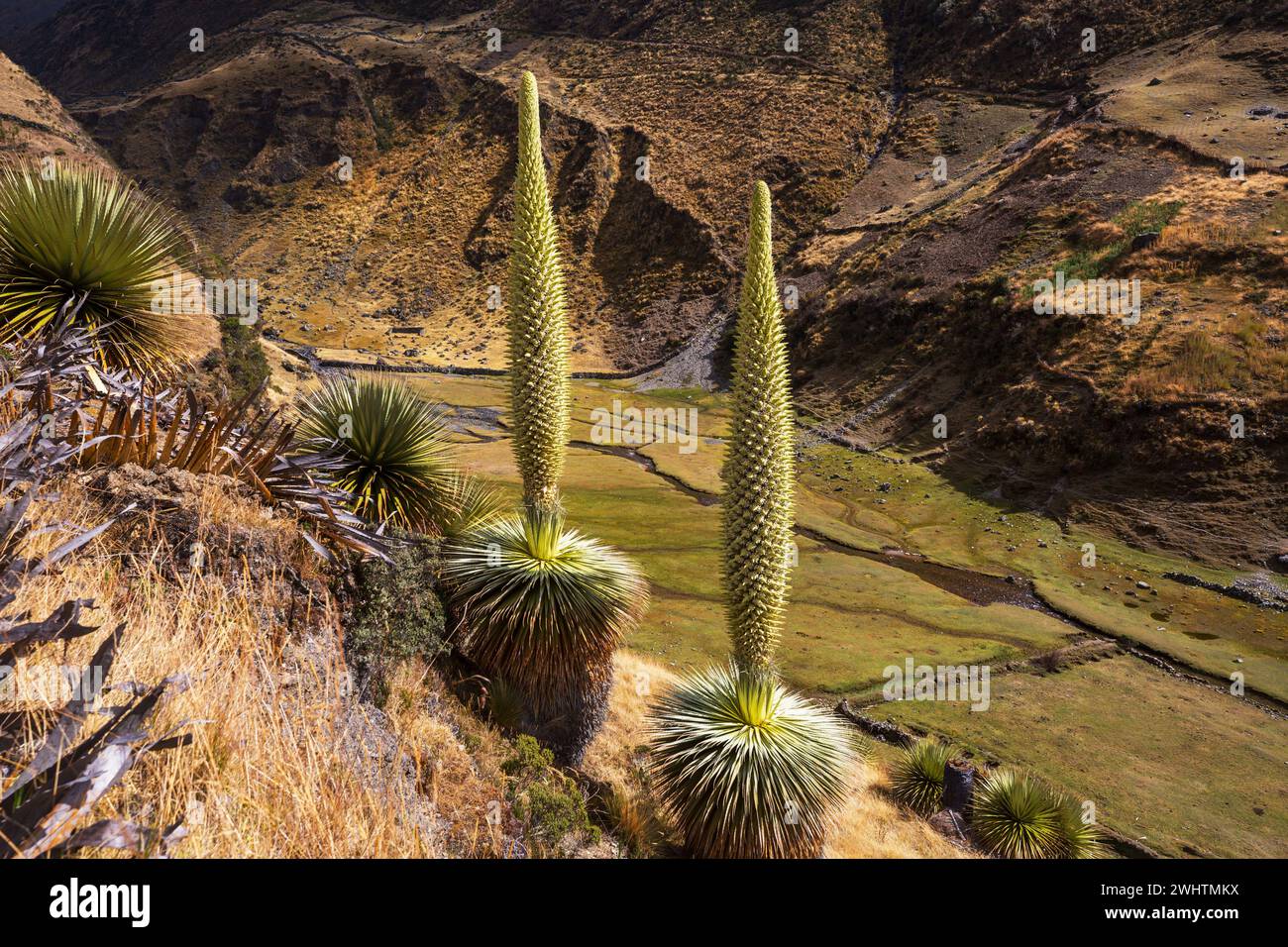 Hiking in the fantastic landscape of the Peruvian high mountain Andes ...