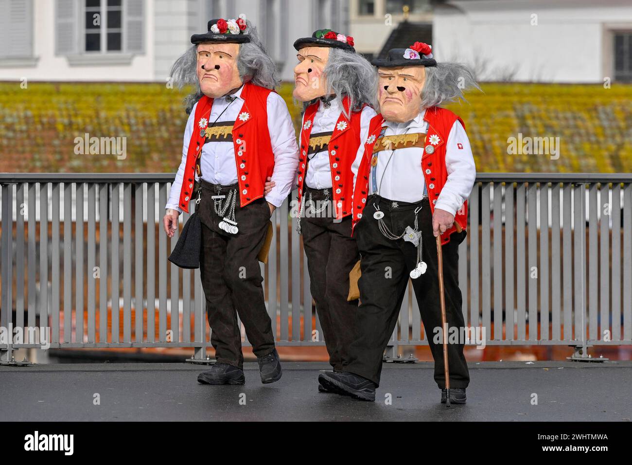 Carnival revellers in traditional Appenzell traditional costume Stock ...