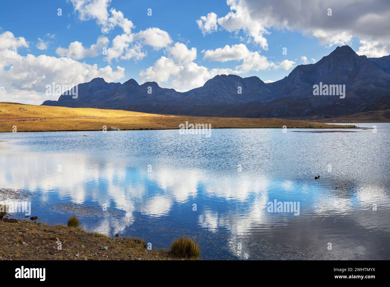 Hiking in the fantastic landscape of the Peruvian high mountain Andes ...