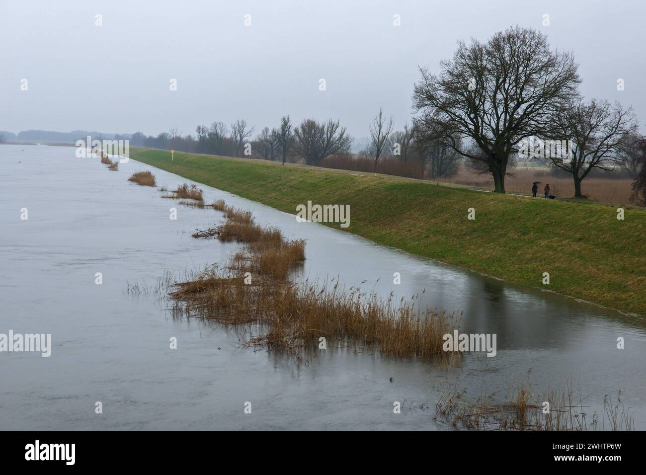 Oderaue - Oder führt Hochwasser: Wasserpegel kurz vor Alarmstufe 1 11. ...