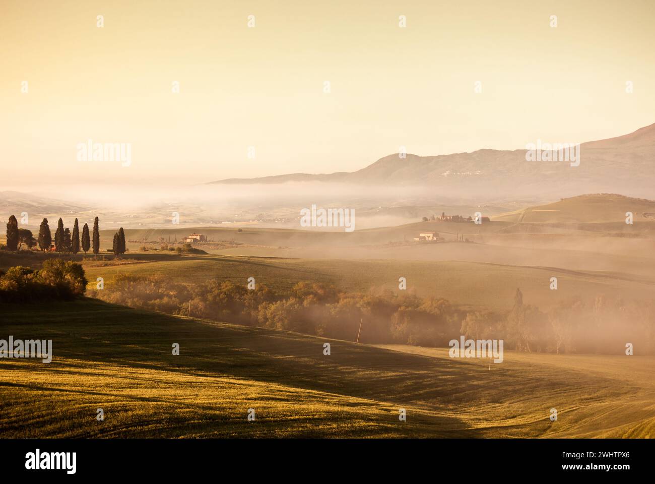 Morning fog view in Tuscany Stock Photo - Alamy