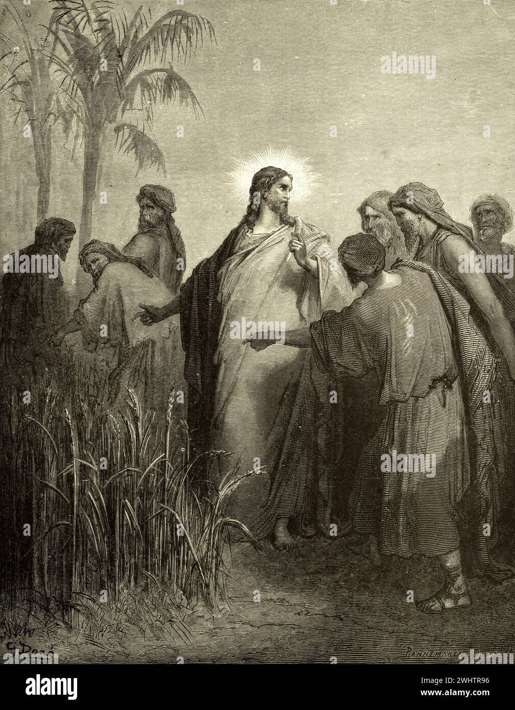The Bible - The Disciples plucking corn on the sabbath by Gustave Dorè ...