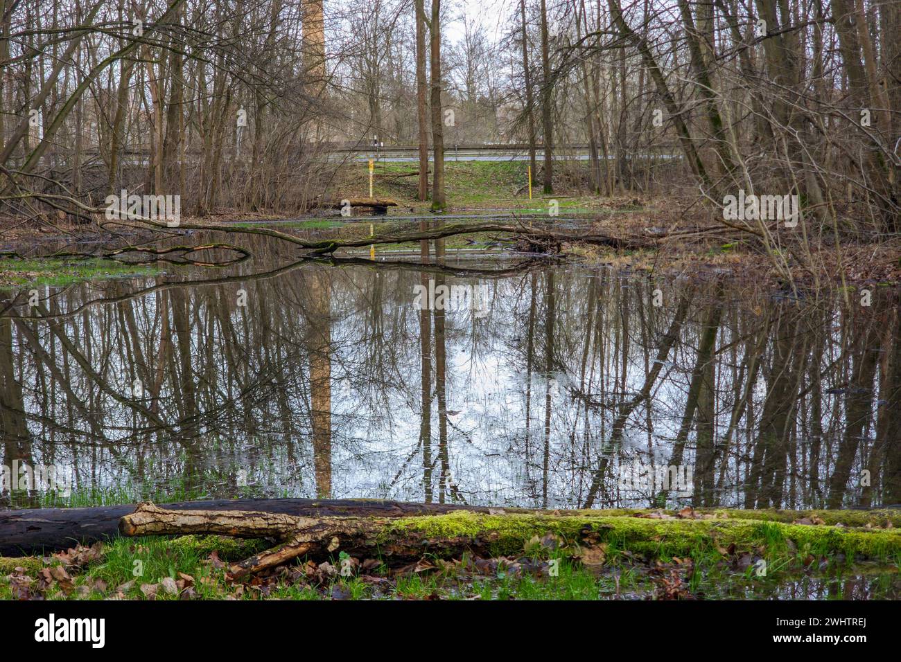 Leipzig - Wasser tritt teilweise über die Ufer: Pleiße bei Leipzig ...