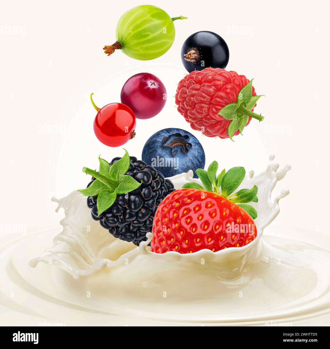 Falling berries with milk splash isolated on white background Stock ...