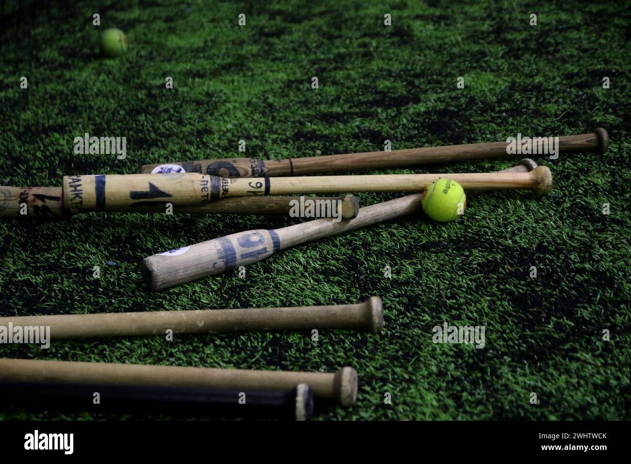 Saint Petersburg, Russia. 11th Feb, 2024. Baseball bats and balls lie ...