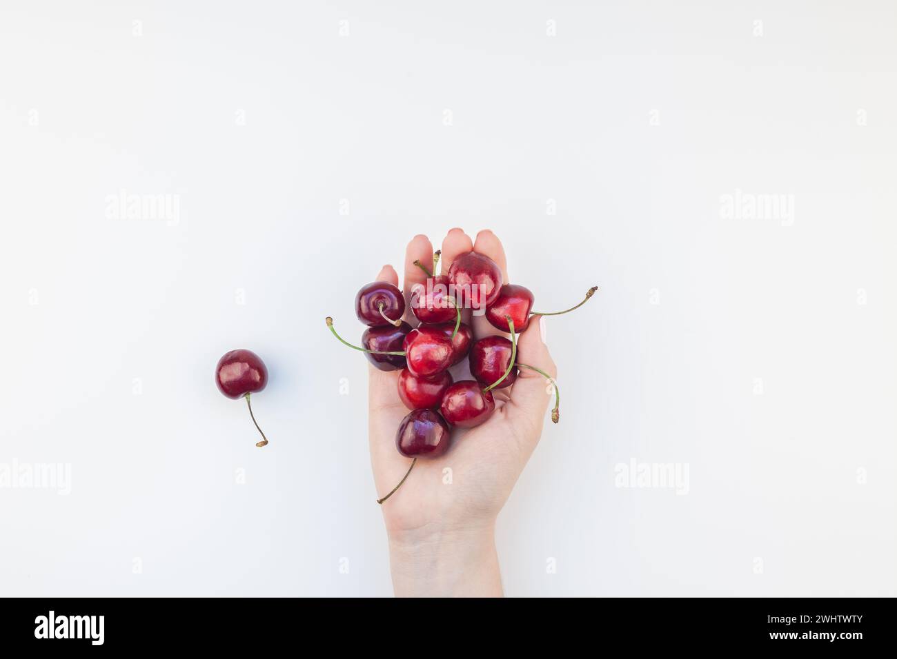 Ripe cherry in female hands hi-res stock photography and images - Alamy