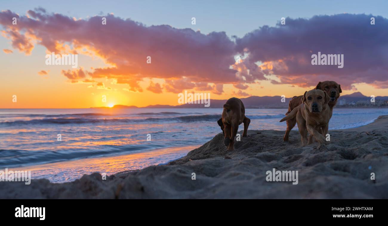 Serene sunset bond hi-res stock photography and images - Alamy