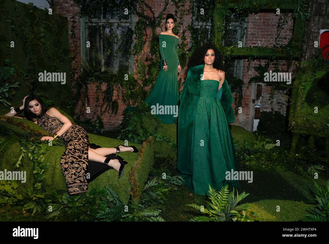 Stacy bender hi-res stock photography and images - Alamy