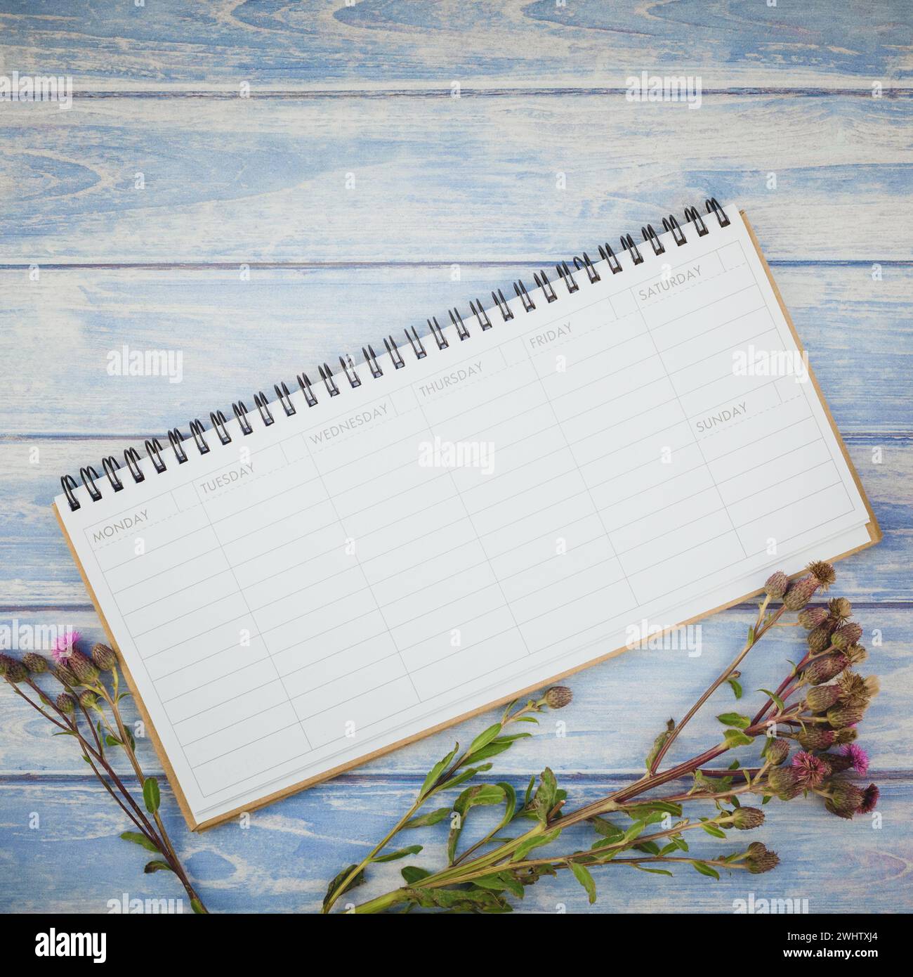 Seasonal planner hi-res stock photography and images - Alamy
