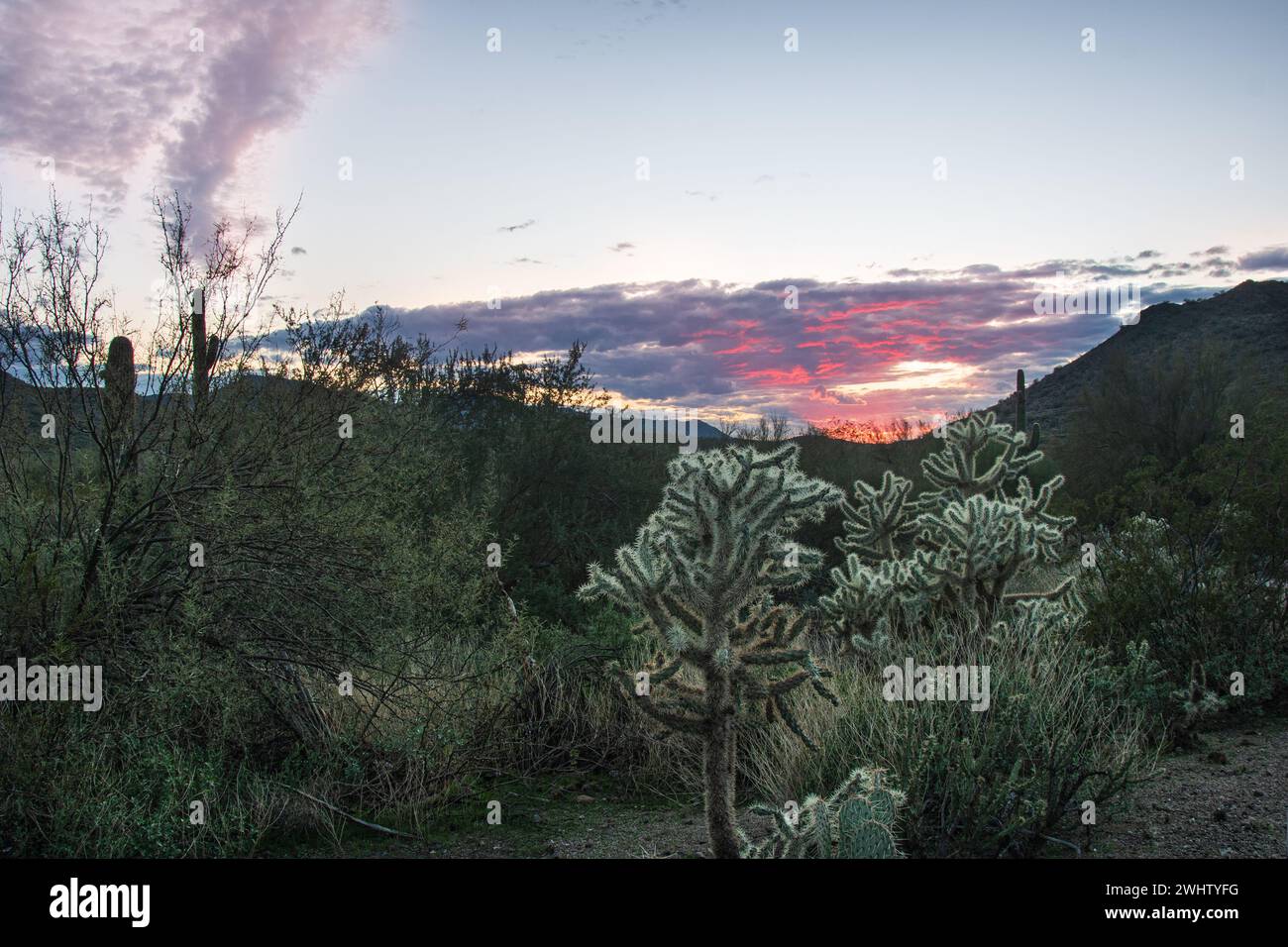 Fire red dawn sky forest hi-res stock photography and images - Alamy