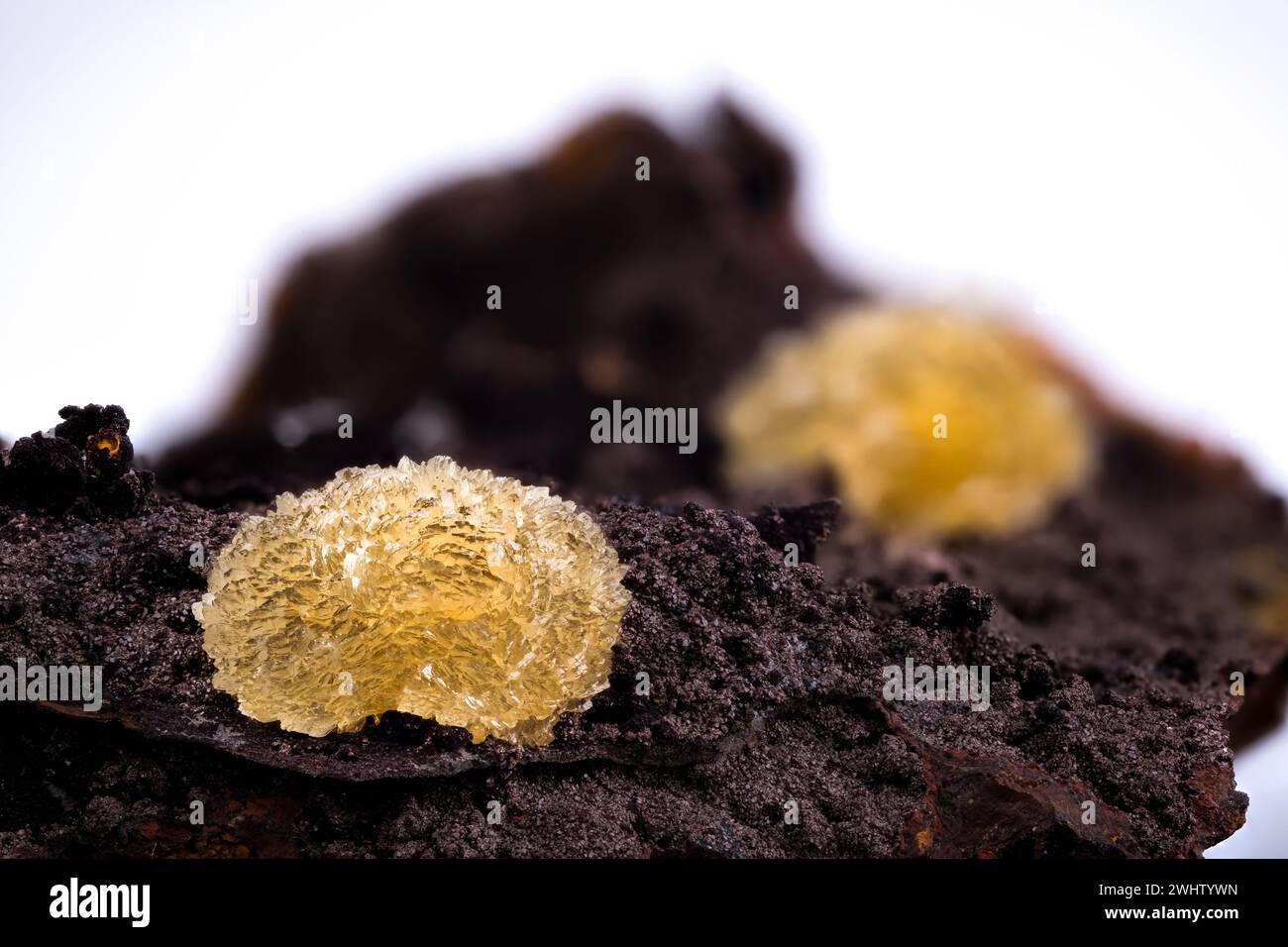 yellow austinite photography. From Ojuela Mine, Mapimi, Durango, Mexico ...