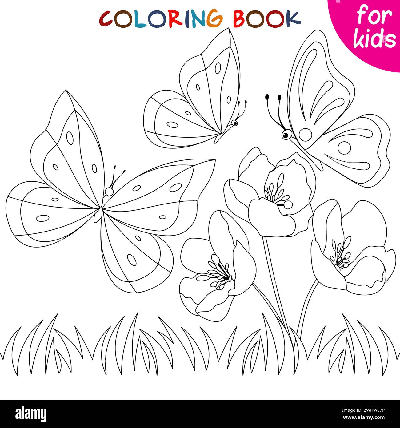 Butterflies collection. Butterflies flutter on a flowering meadow ...