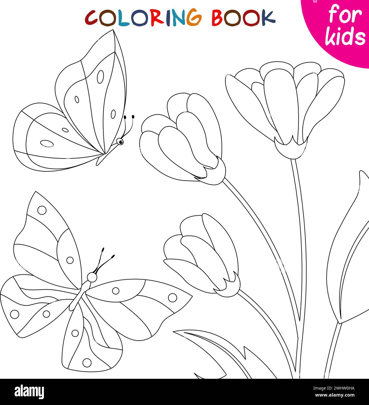 Butterflies collection. Butterflies flutter around the flower buds ...