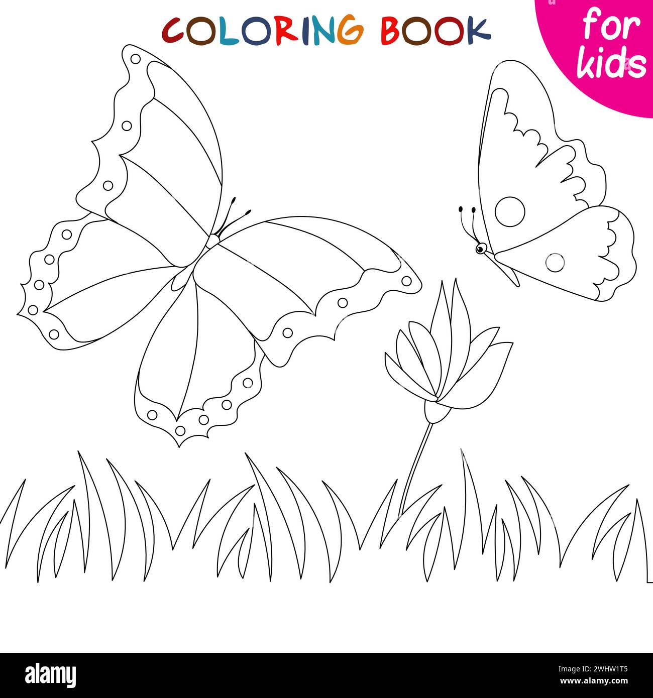 Butterflies collection. Butterflies in the meadow. Coloring book page ...