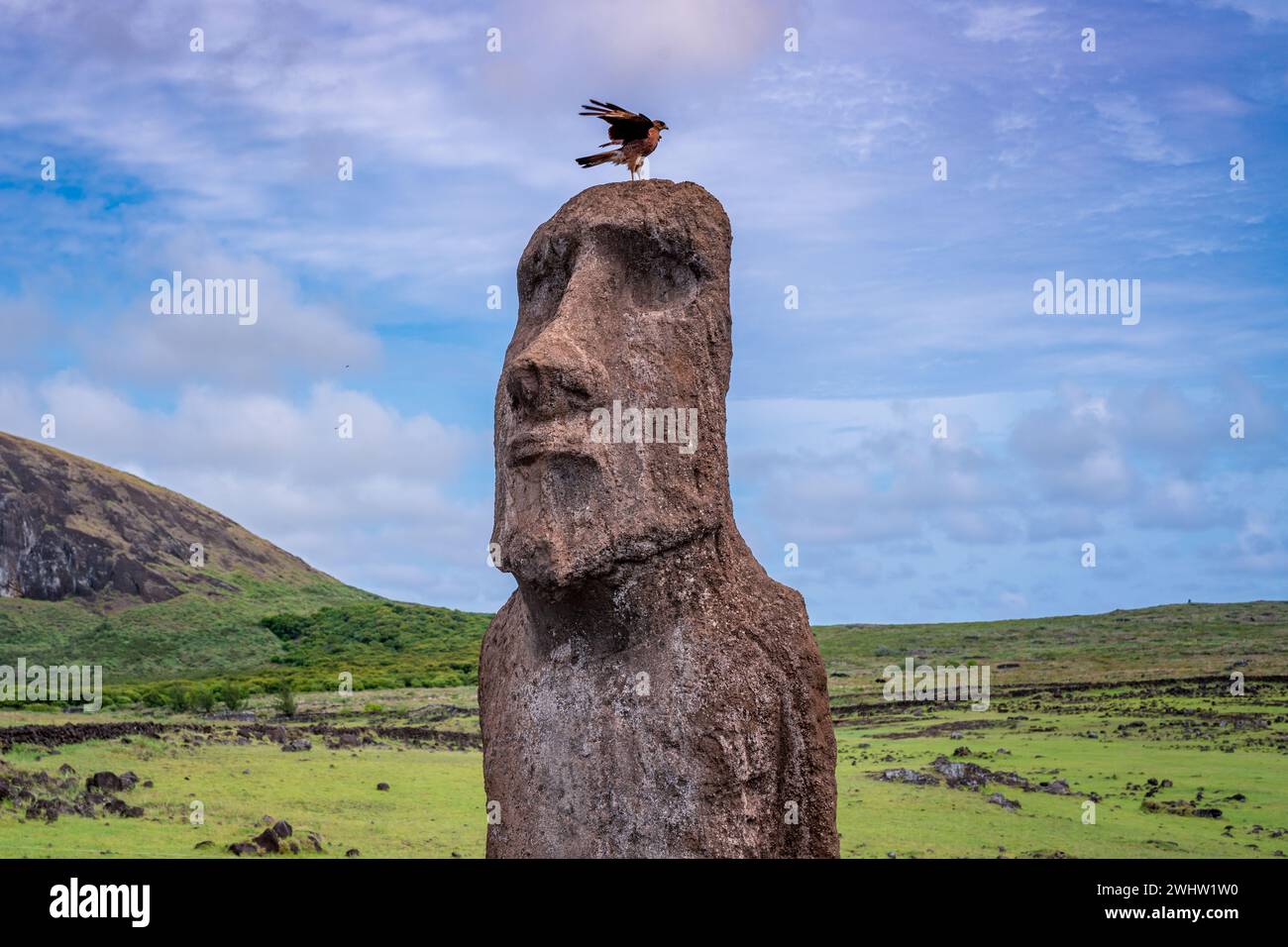 Moais in Tongariki, Rapa Nui, Easter Island Stock Photo - Alamy