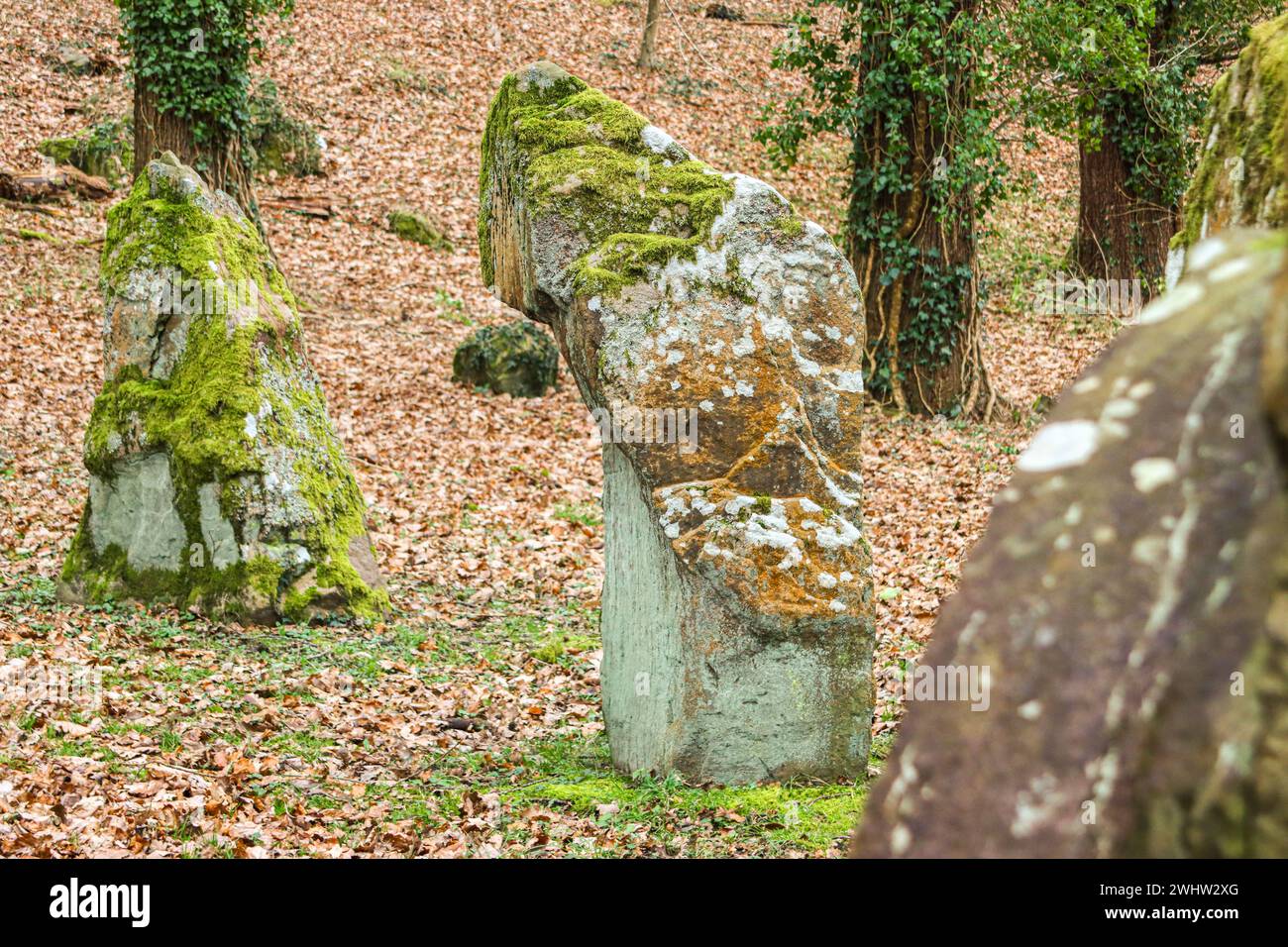 Lush moss rocks hi-res stock photography and images - Alamy