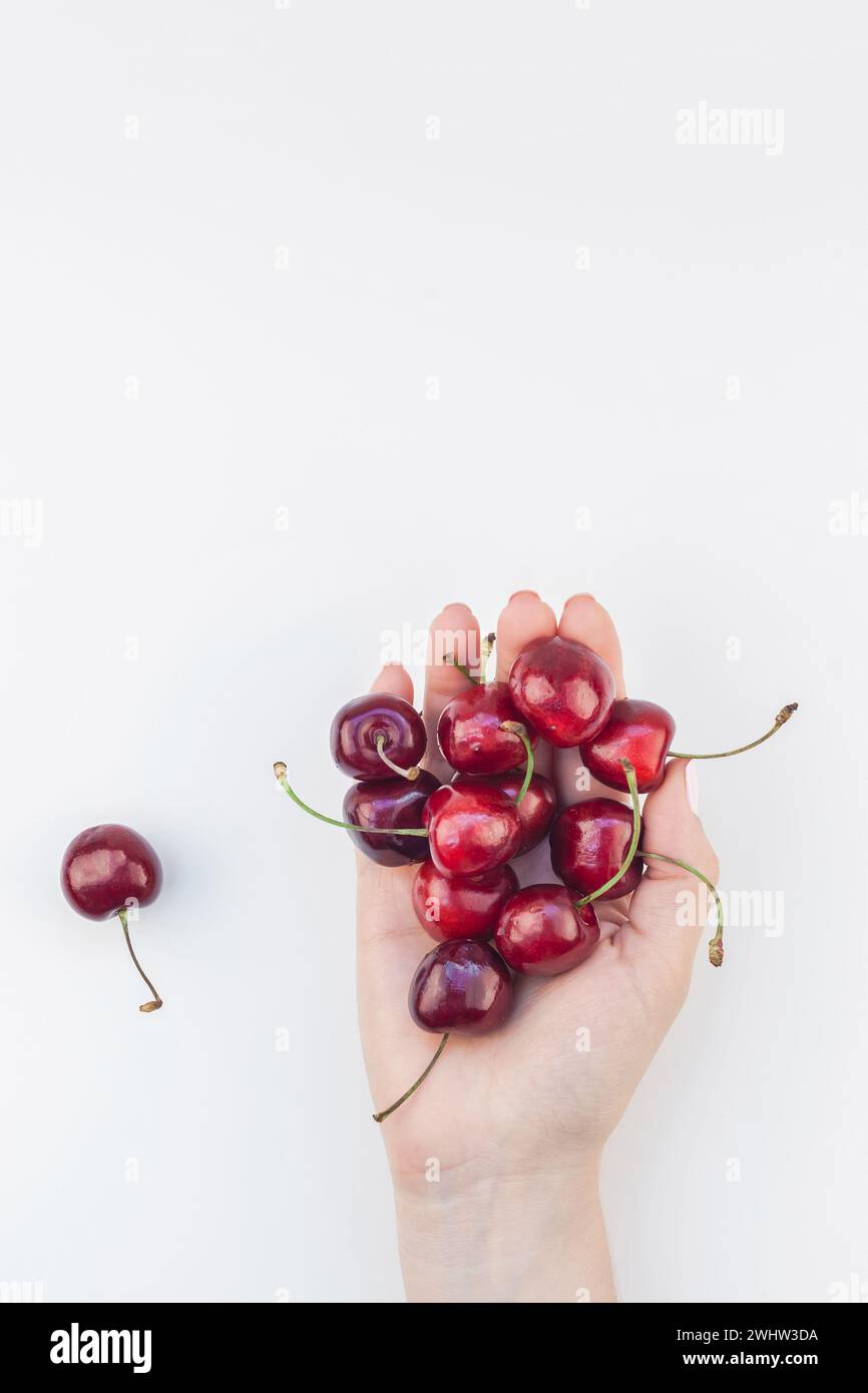 Ripe cherry in female hands hi-res stock photography and images - Alamy