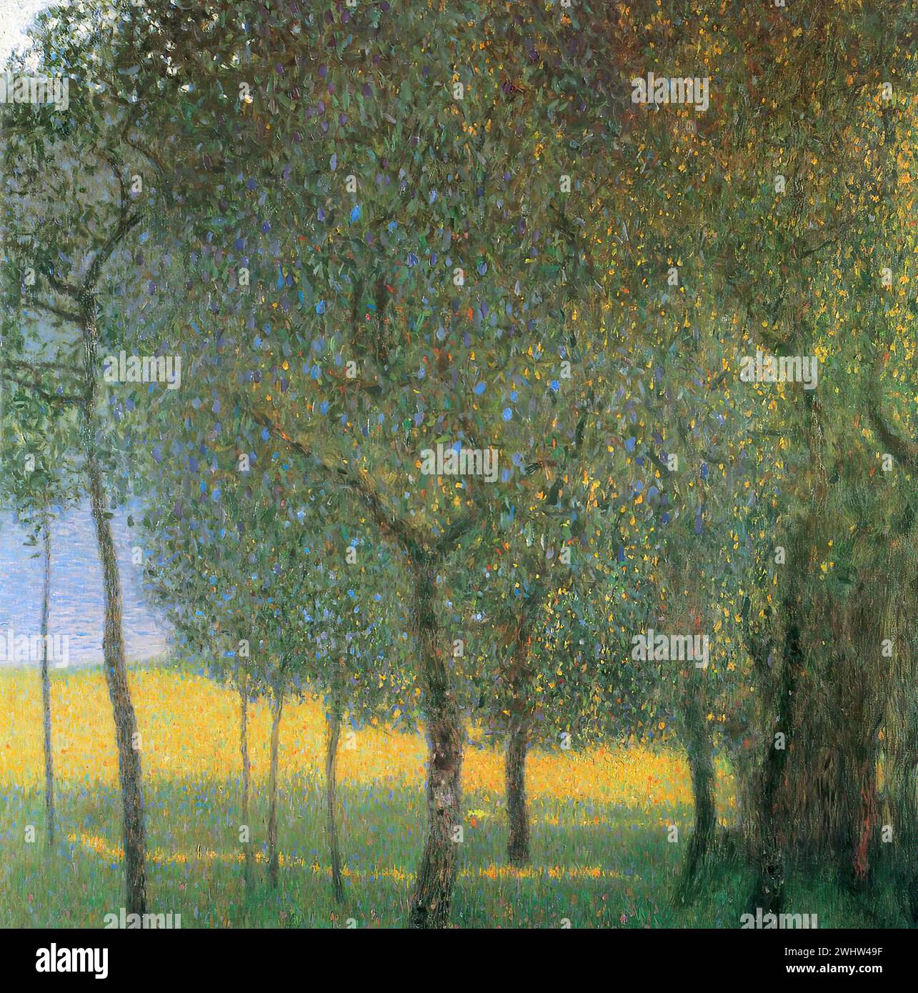 Gustav klimt arbres hi-res stock photography and images - Alamy