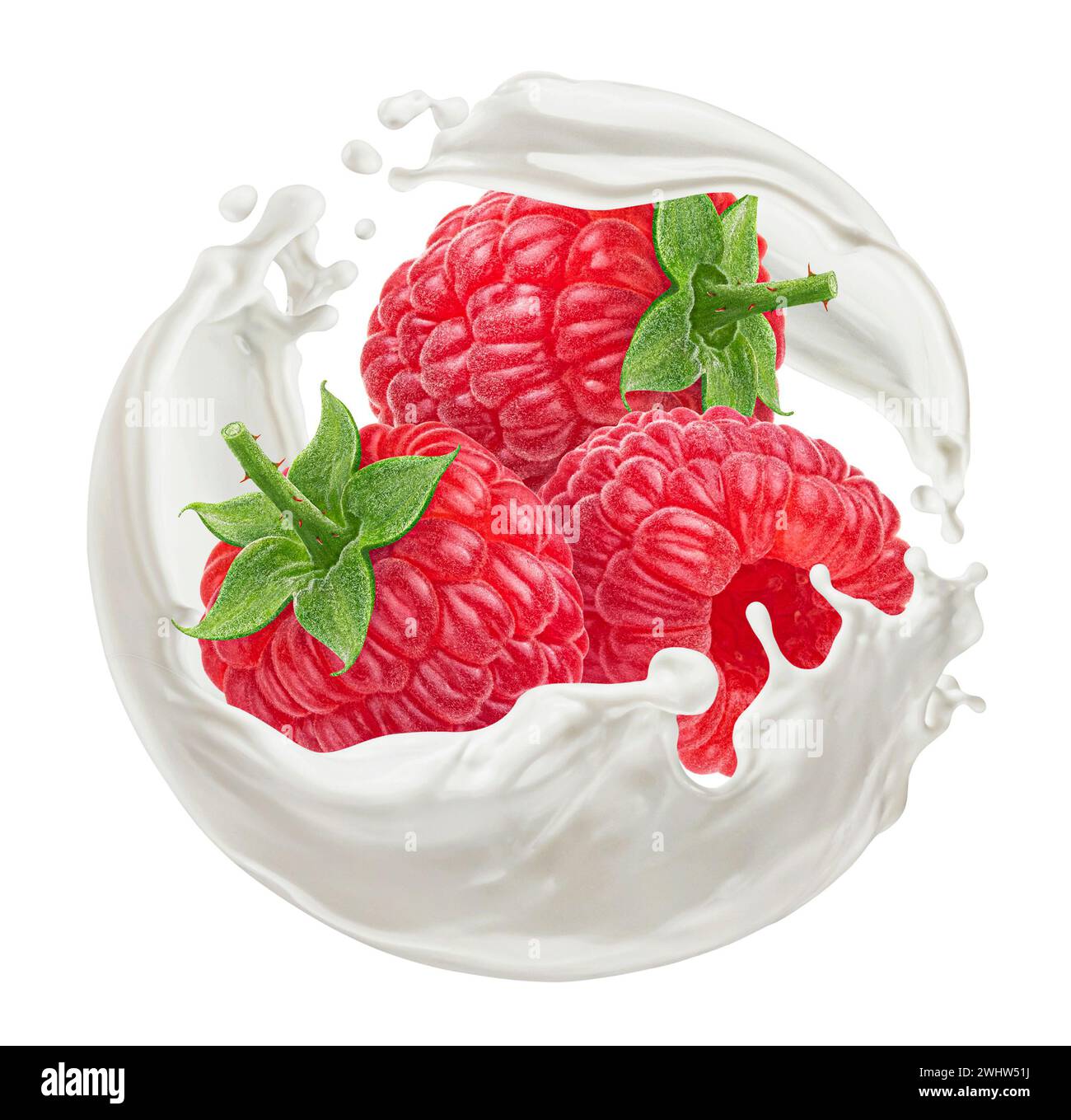 Raspberry with round milk splash isolated on white background Stock ...