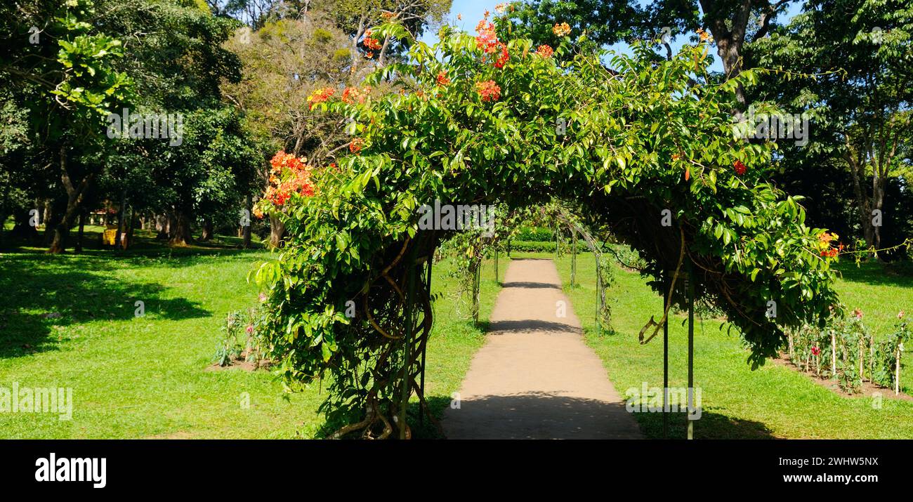 Romantic flower arch path hi-res stock photography and images - Alamy