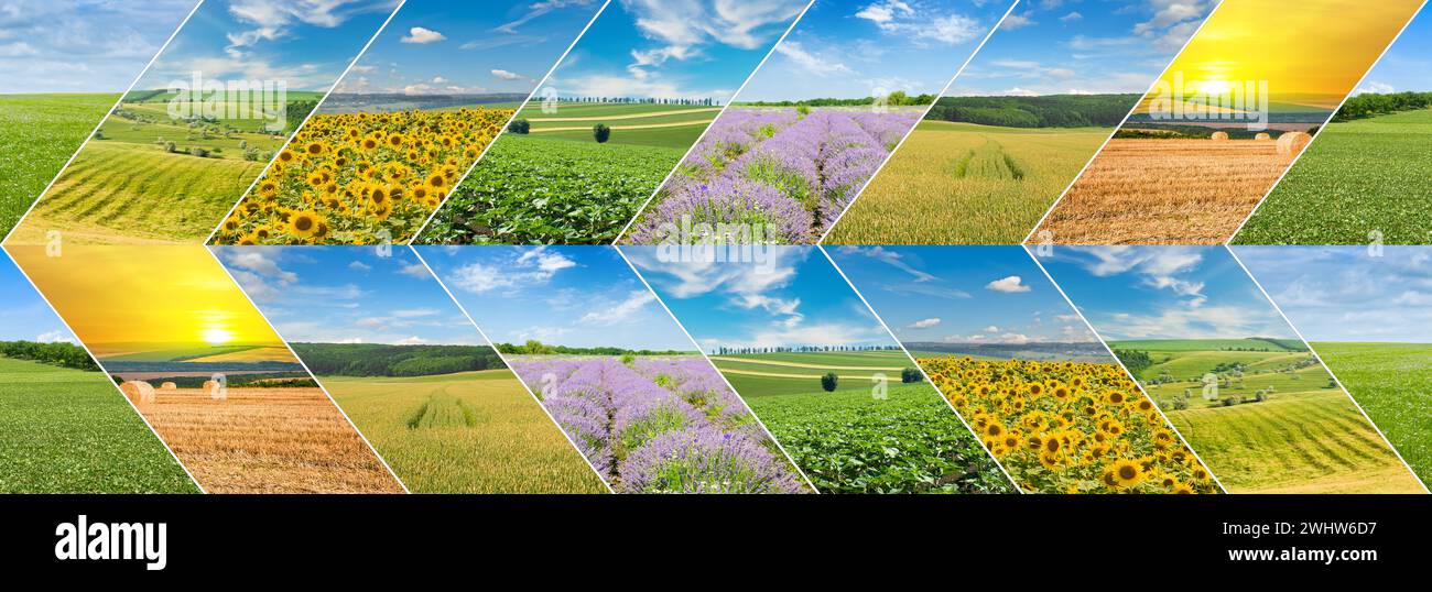 Agricultural fields and blue sky. Photo collage. Wide photo Stock Photo ...