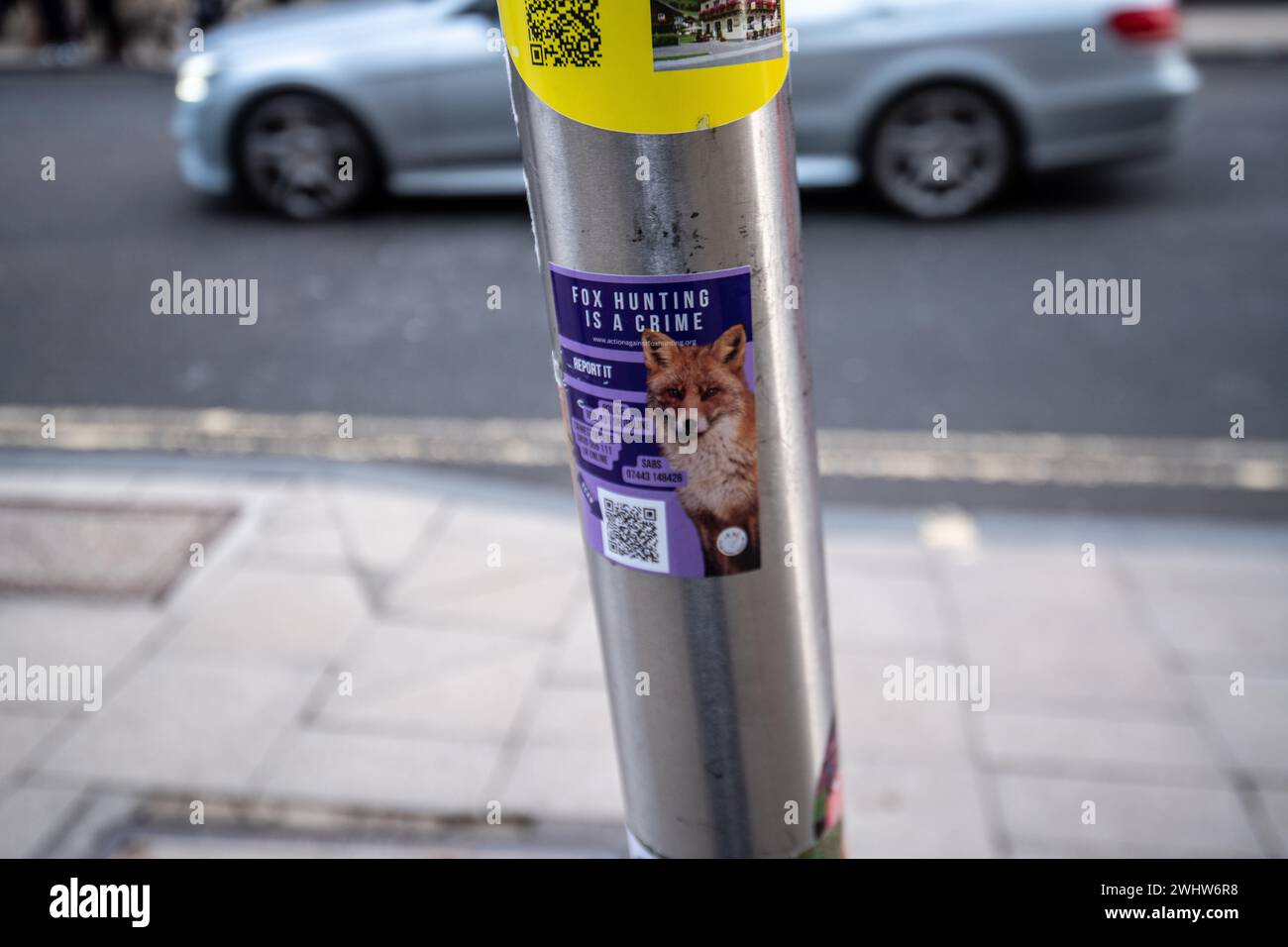 Fox hunting is a crime sticker hi-res stock photography and images - Alamy