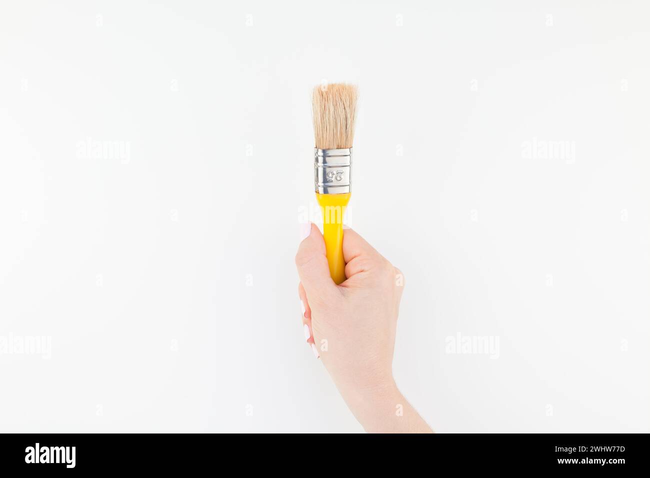 Human hand holding paint brush hi-res stock photography and images - Alamy