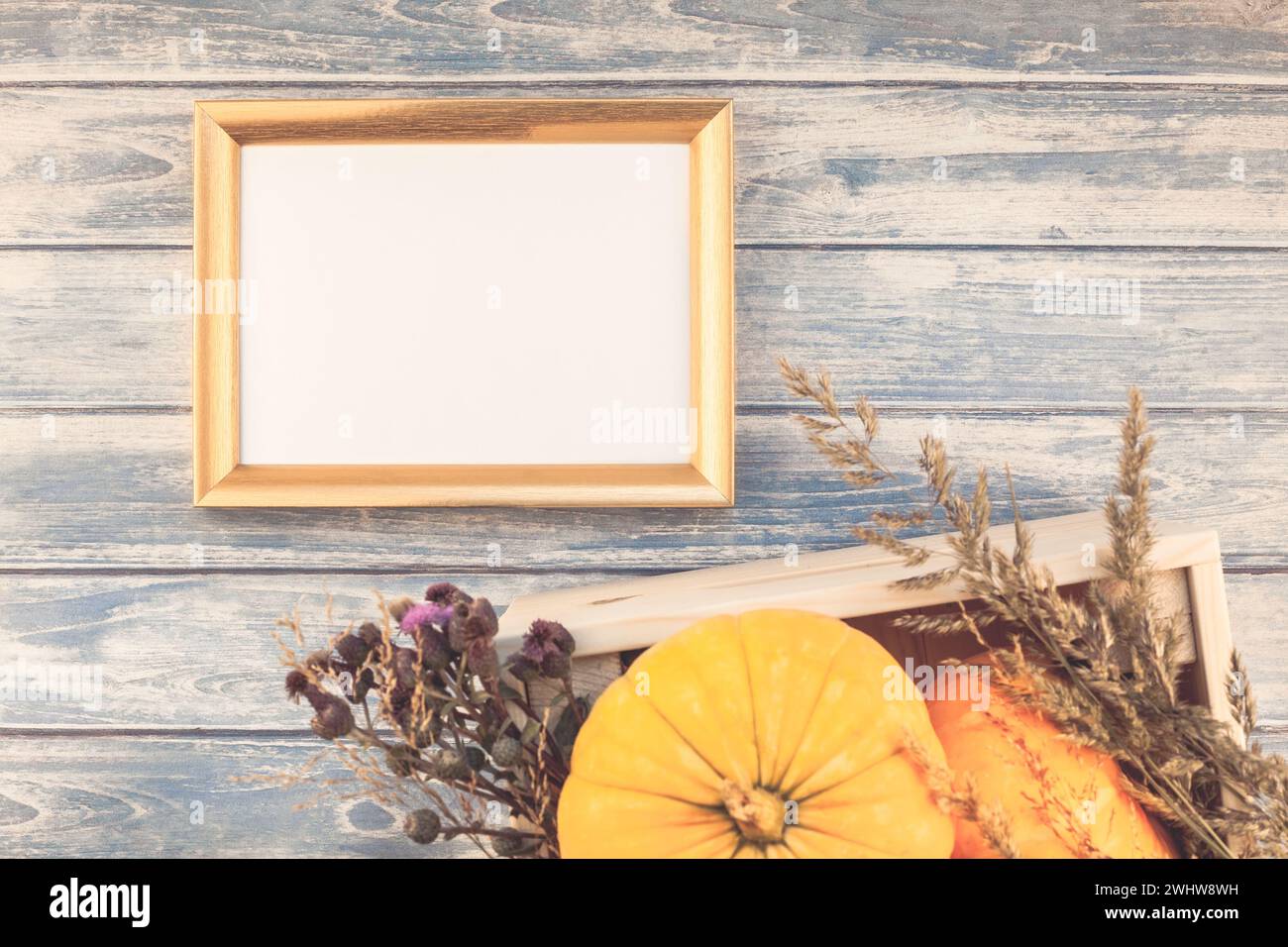 Golden frame mock up with autumn pumpkins Stock Photo - Alamy