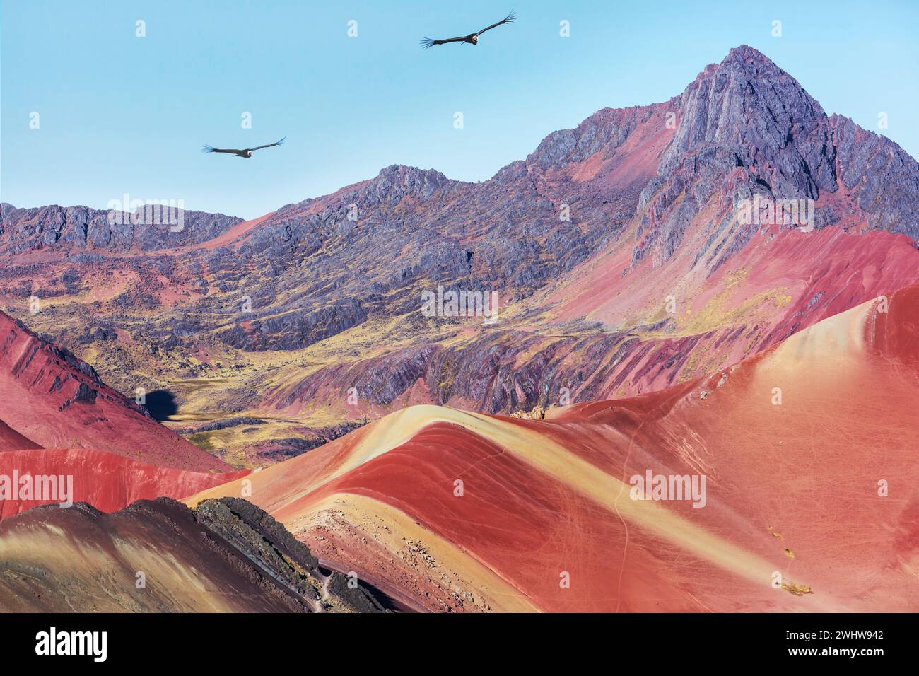 Colorado condor hi-res stock photography and images - Alamy