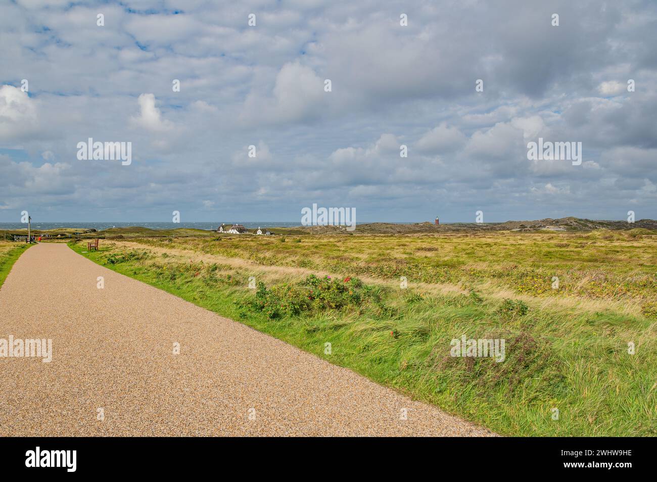 Heath landscape on the north sea coast hi-res stock photography and ...