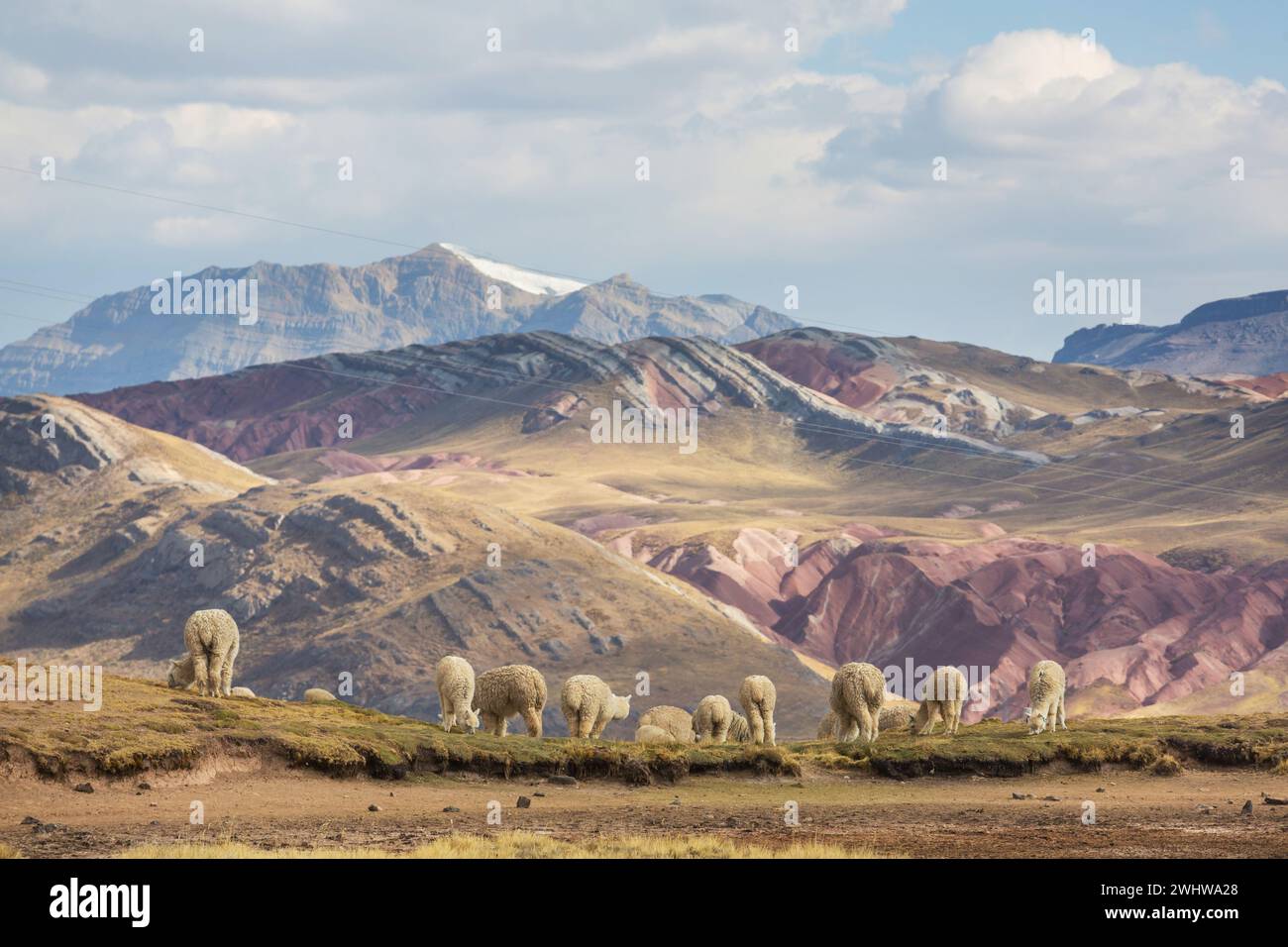 Hiking in the fantastic landscape of the Peruvian high mountain Andes ...