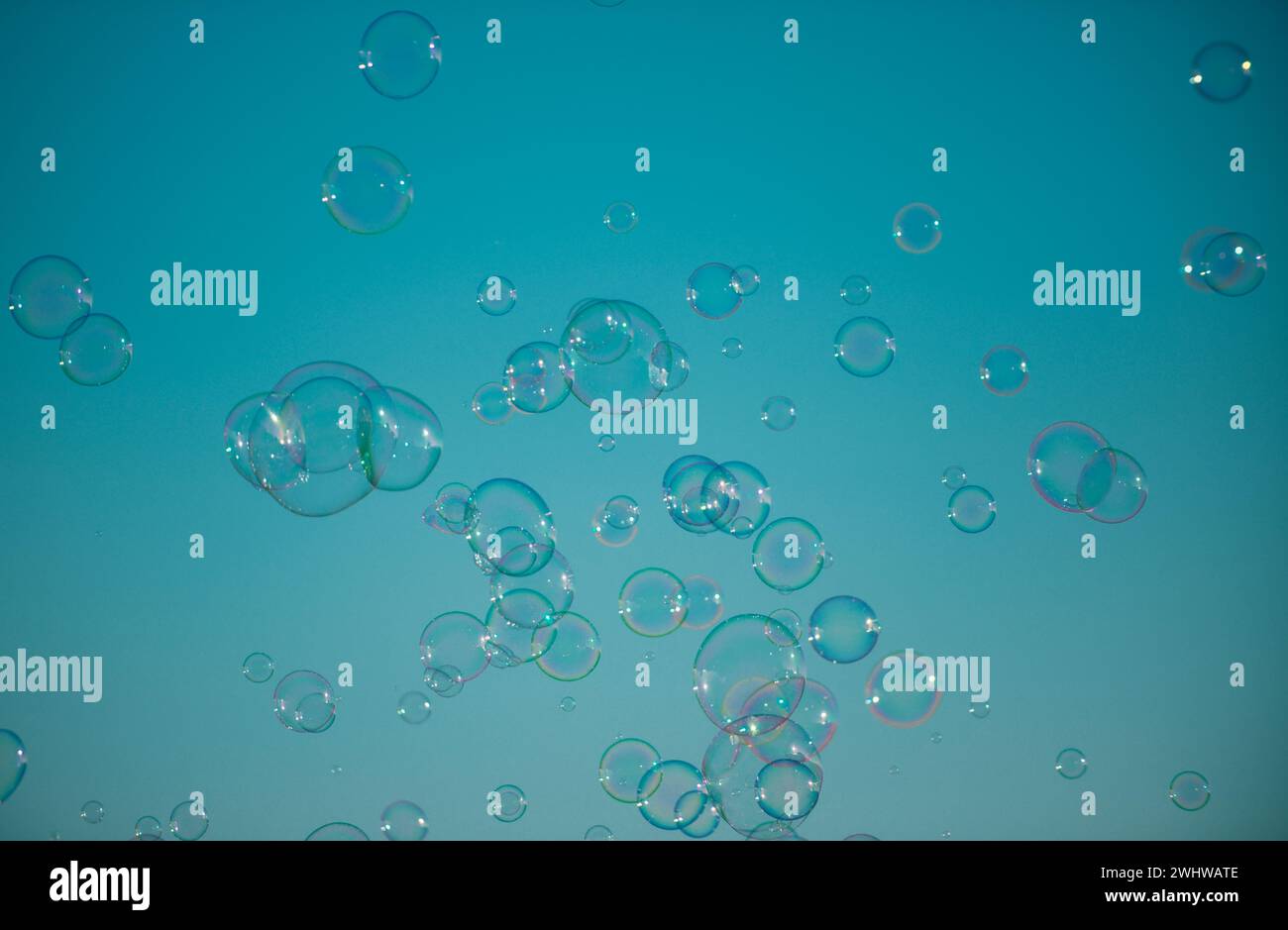 Giant colorful bubble. Big soap bubble on blue sky. Making huge rope ...