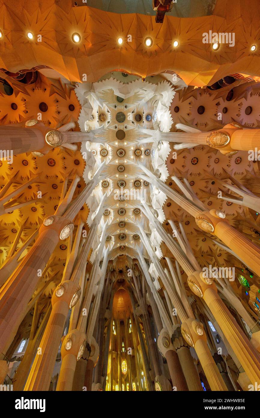 Central vault of the temple of the Sagrada Familia Stock Photo - Alamy