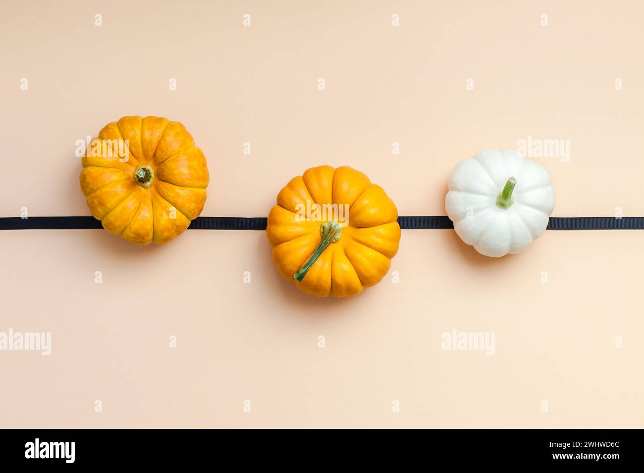 View fall pumpkins halloween hi-res stock photography and images - Alamy