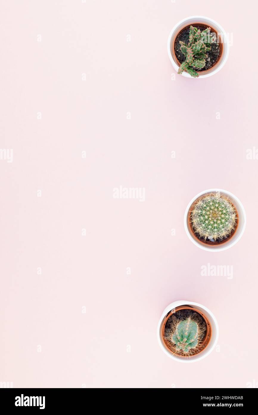 Table top pots hi-res stock photography and images - Alamy