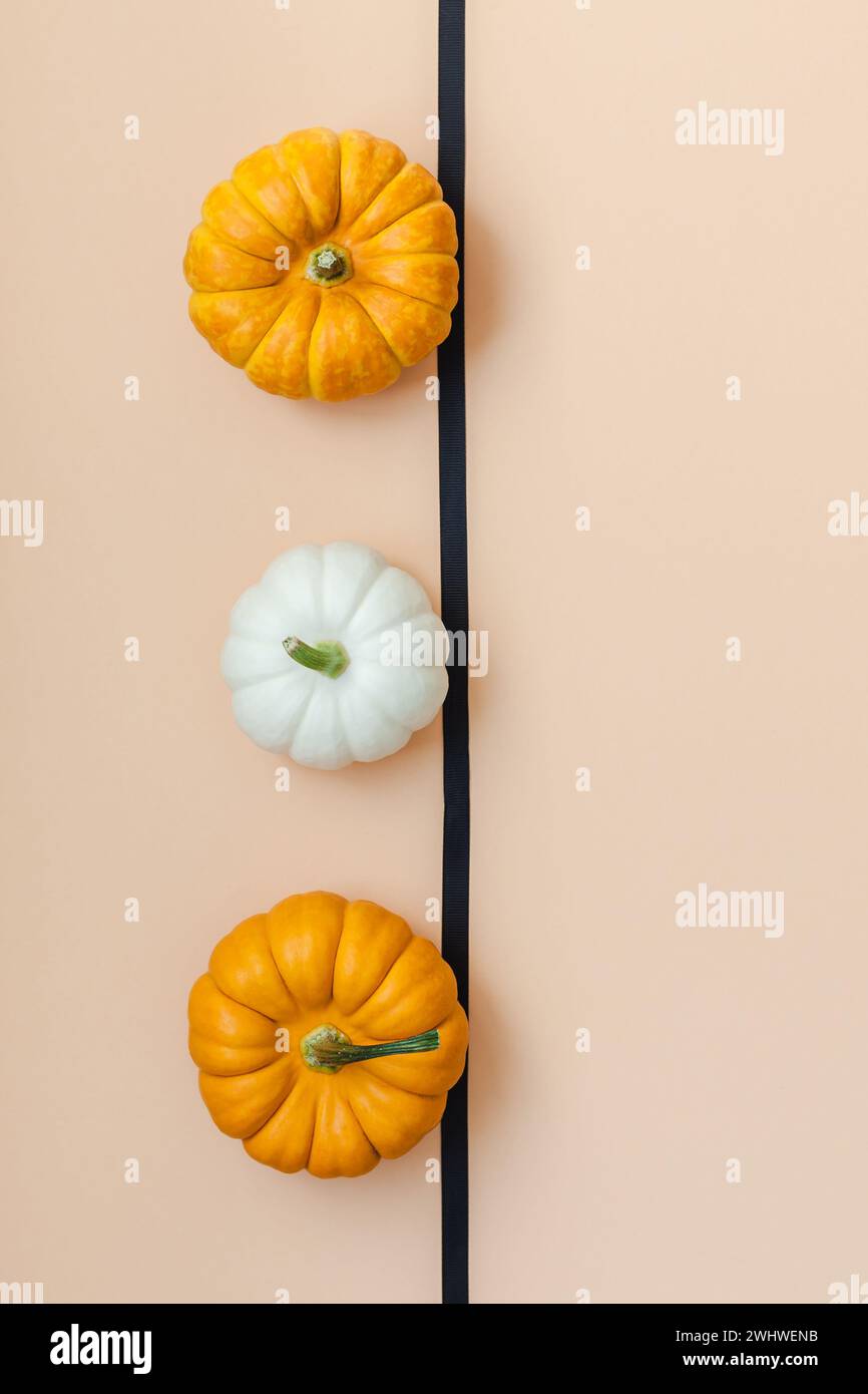 Fall background with small pumpkins Stock Photo - Alamy