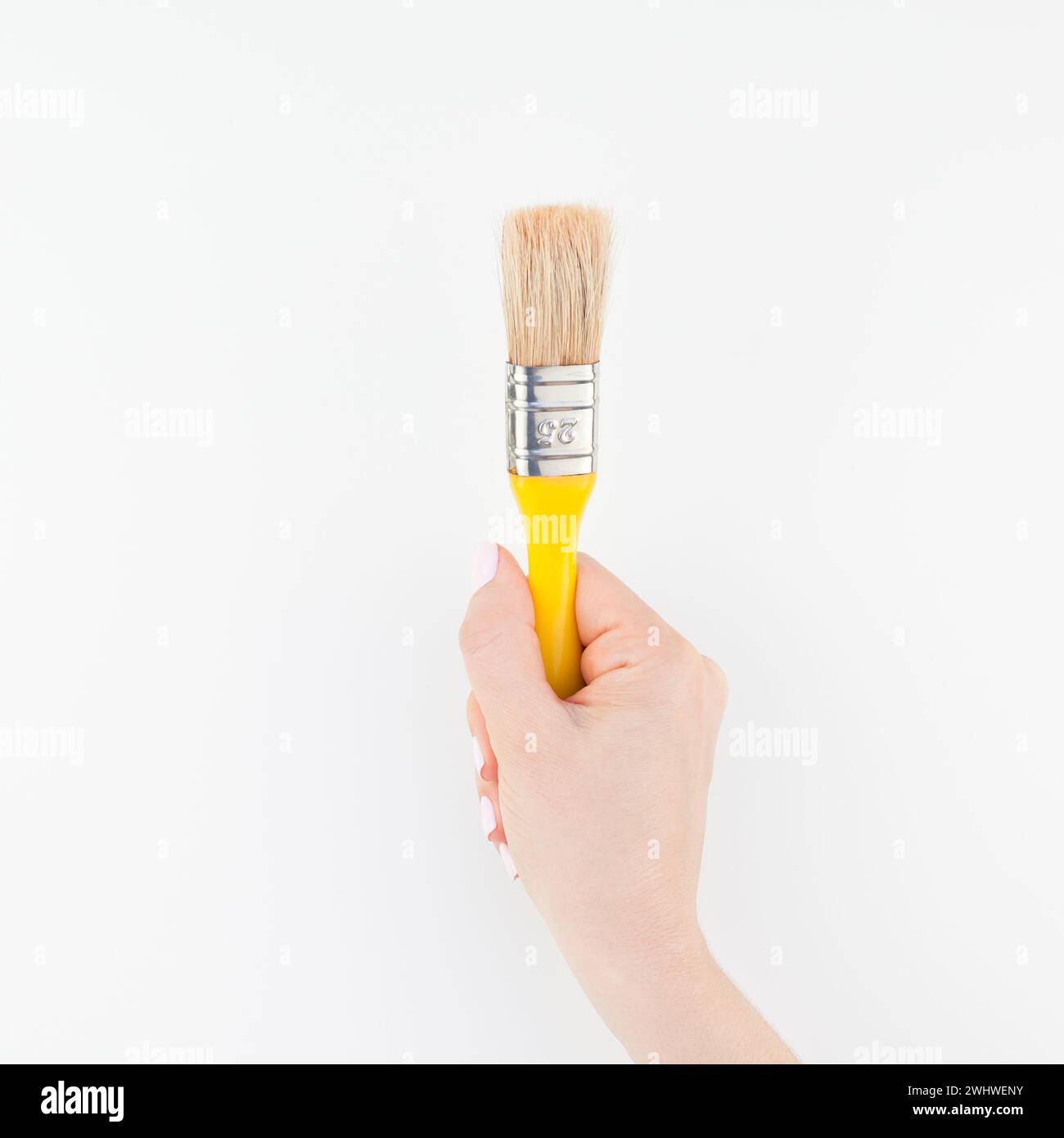 Human hand holding paint brush hi-res stock photography and images - Alamy