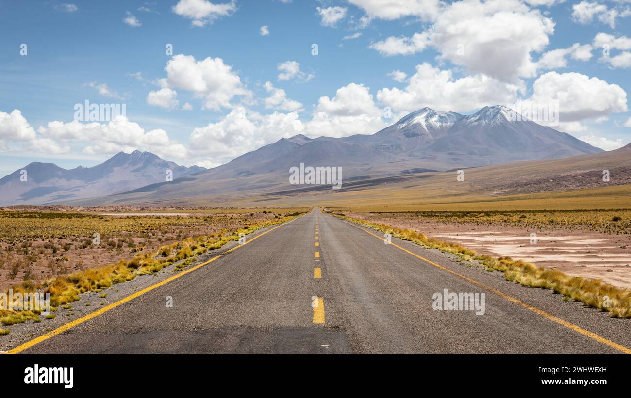 A paved road leads through the Atacama Desert along green steppes, red ...