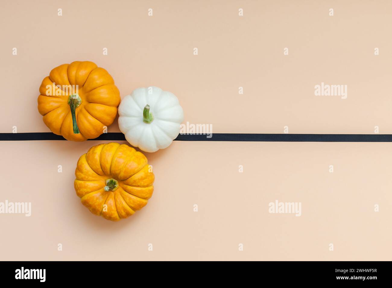 Fall background with small pumpkins Stock Photo - Alamy