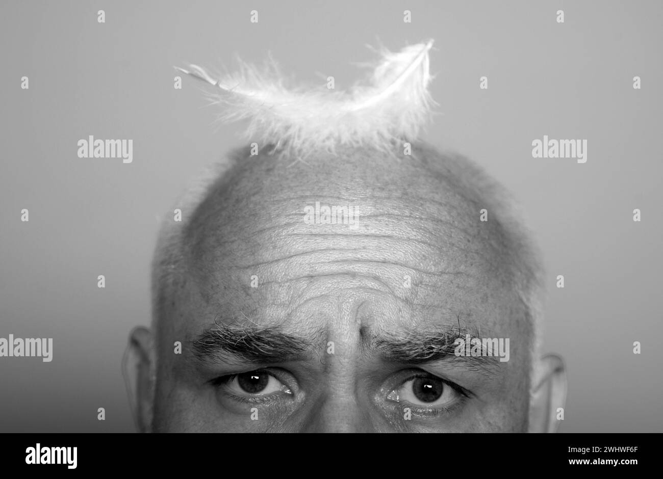Senior old aged head of bald man. Hair loss, baldness with feather ...