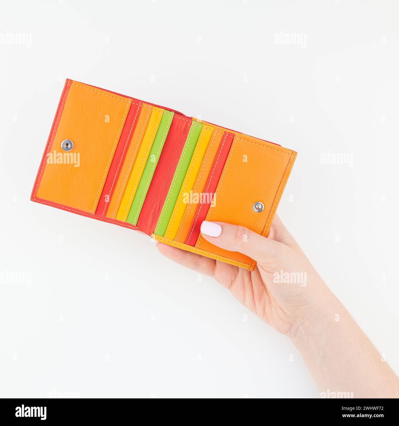 Female hand holding credit hi-res stock photography and images - Alamy