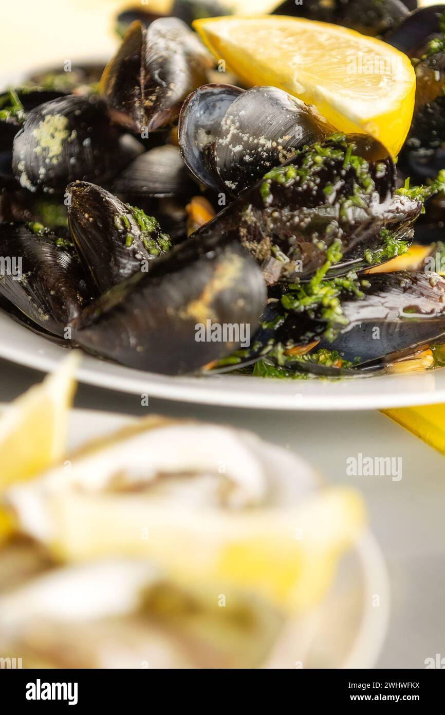 Steamed mussels and oysters on the plate Stock Photo - Alamy